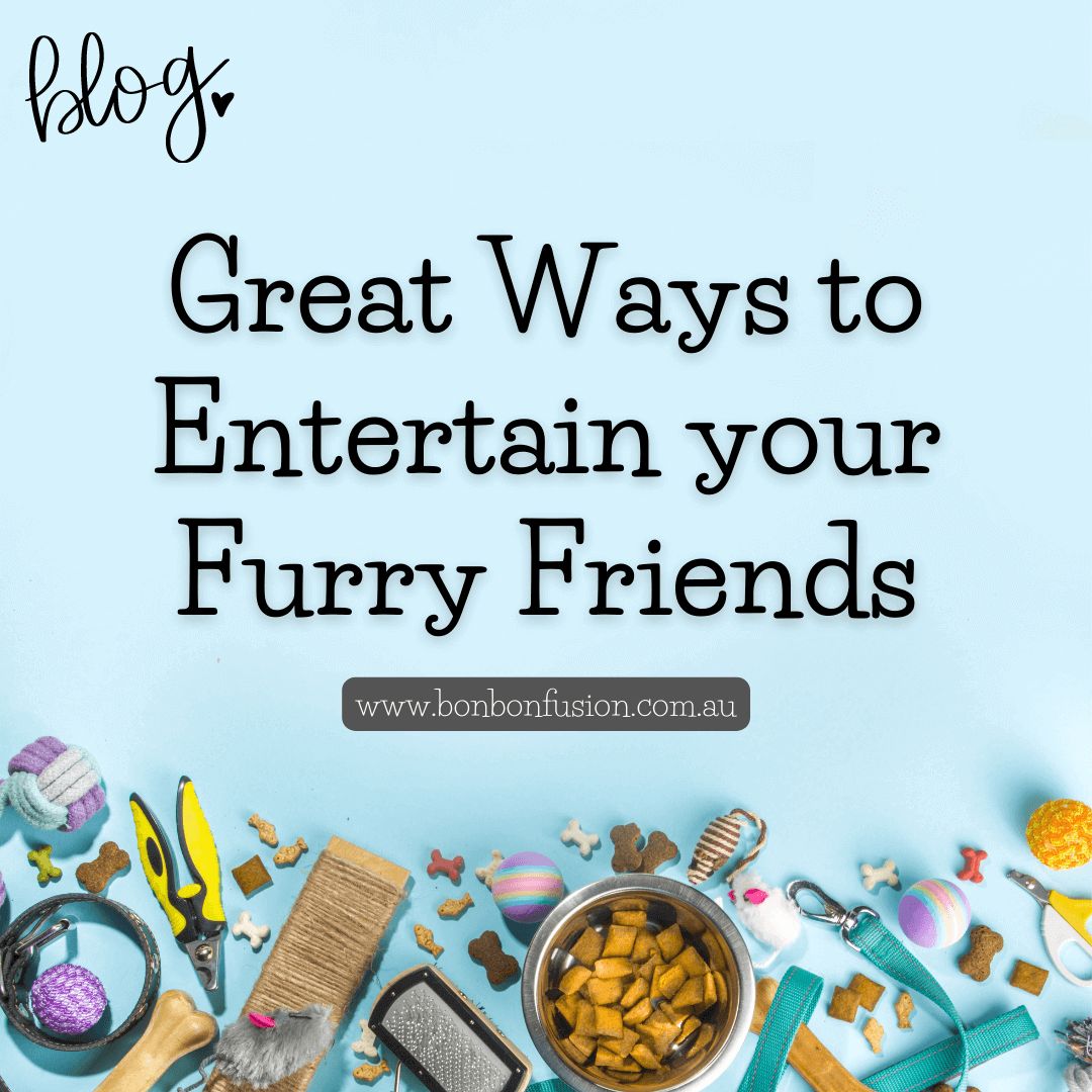 Great Ways to Entertain Your Furry Friends